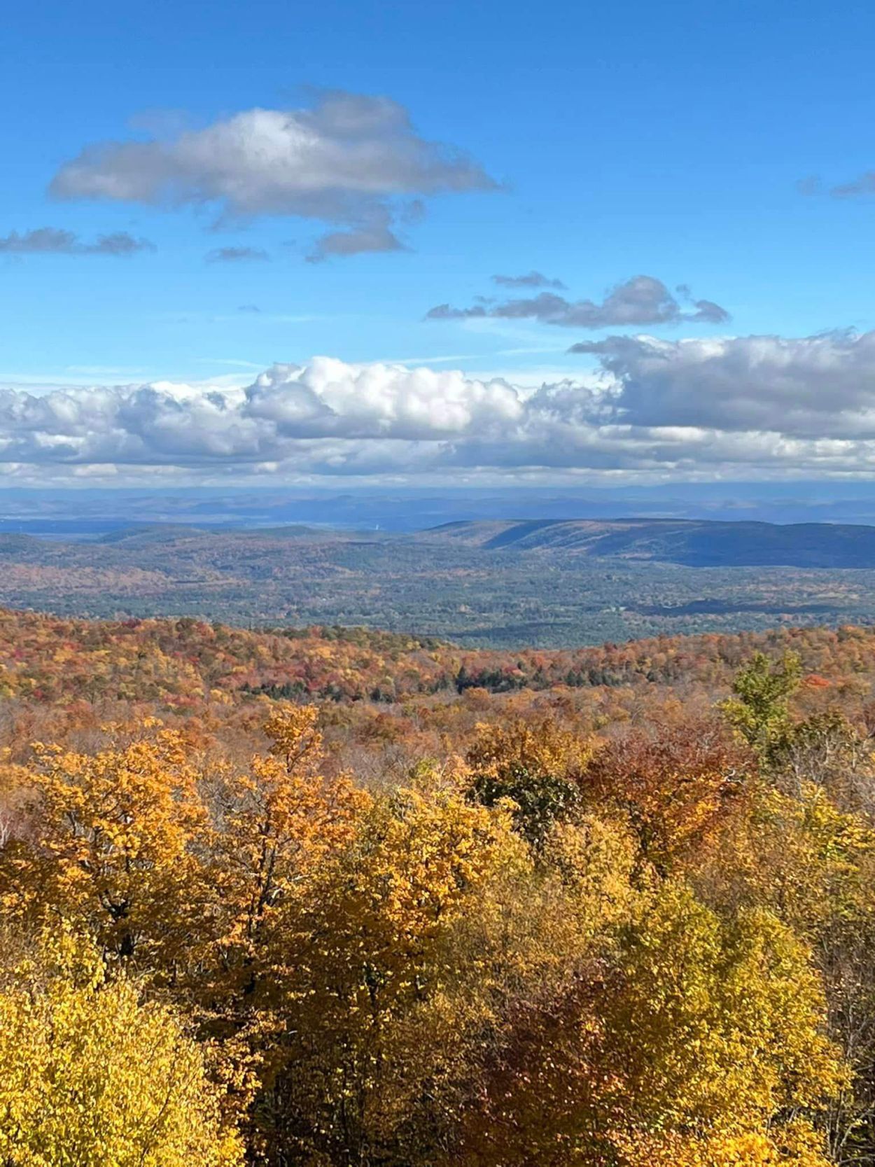 Spruce Mountain Trail - ADK Gateway 8 Challenge